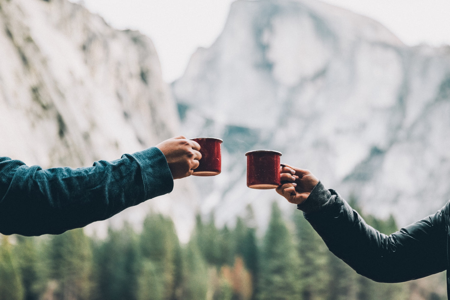 Oregon Chai | The Original Chai Tea Latte